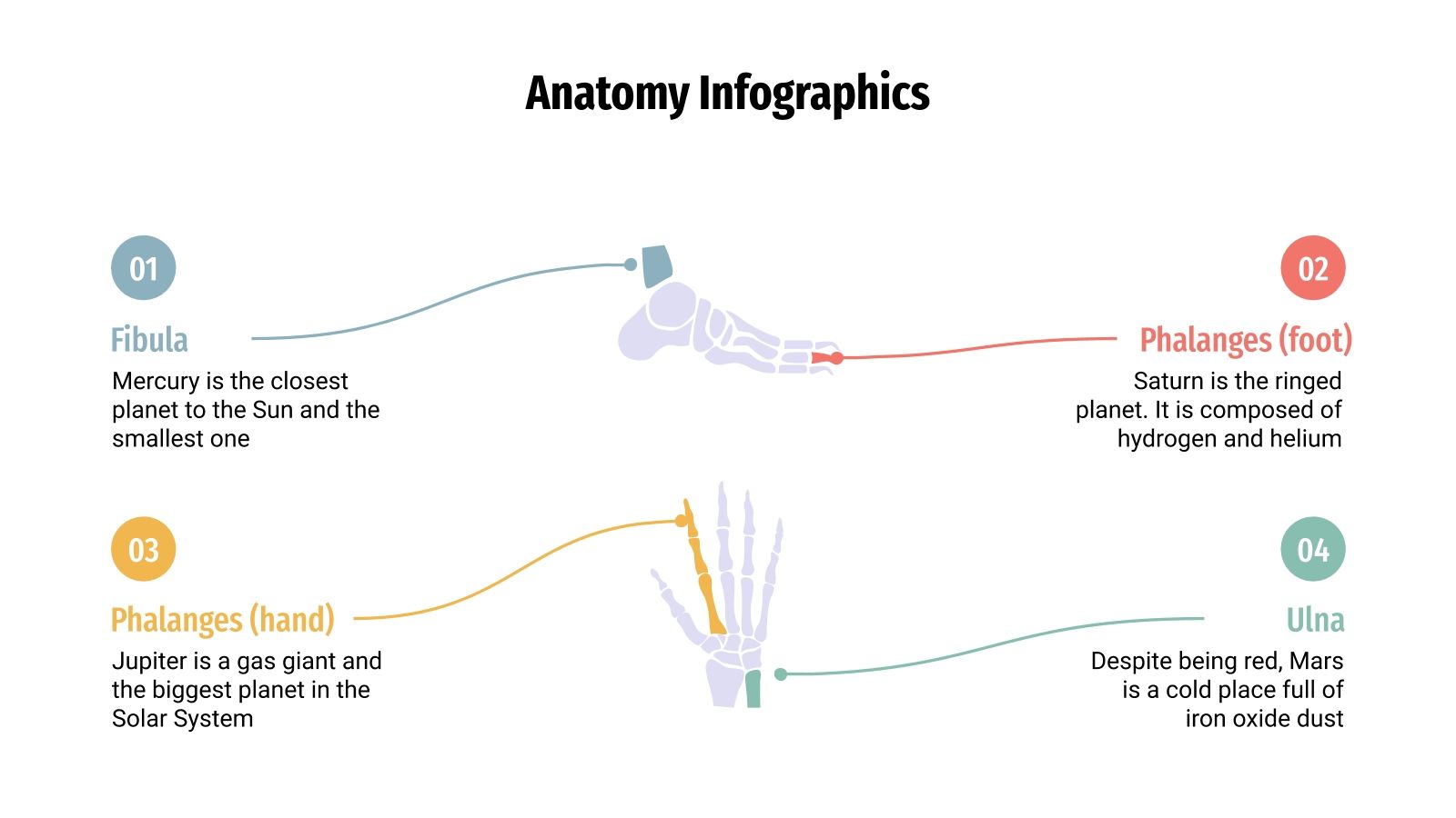 Anatomy Infographics for Google Slides and PowerPoint
