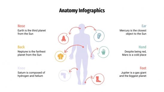 Infographies de l’anatomie | Modèle Google Slides et PPT