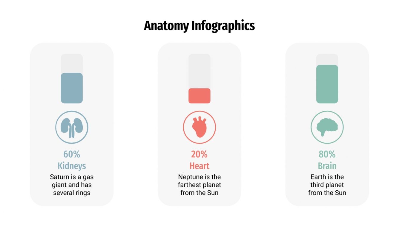 Anatomy Infographics for Google Slides and PowerPoint