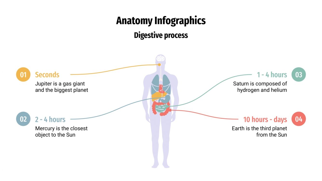 Anatomy Infographics for Google Slides and PowerPoint