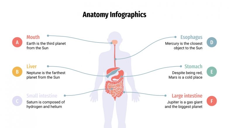Anatomy Infographics for Google Slides and PowerPoint