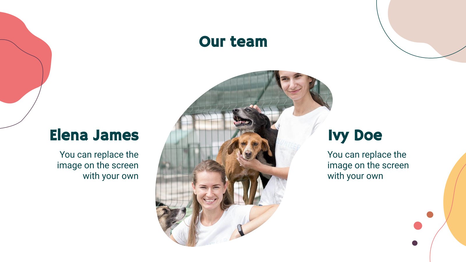 宠物治疗工作坊-教育PPT模版PPT模版免费下载| 懒人PPT