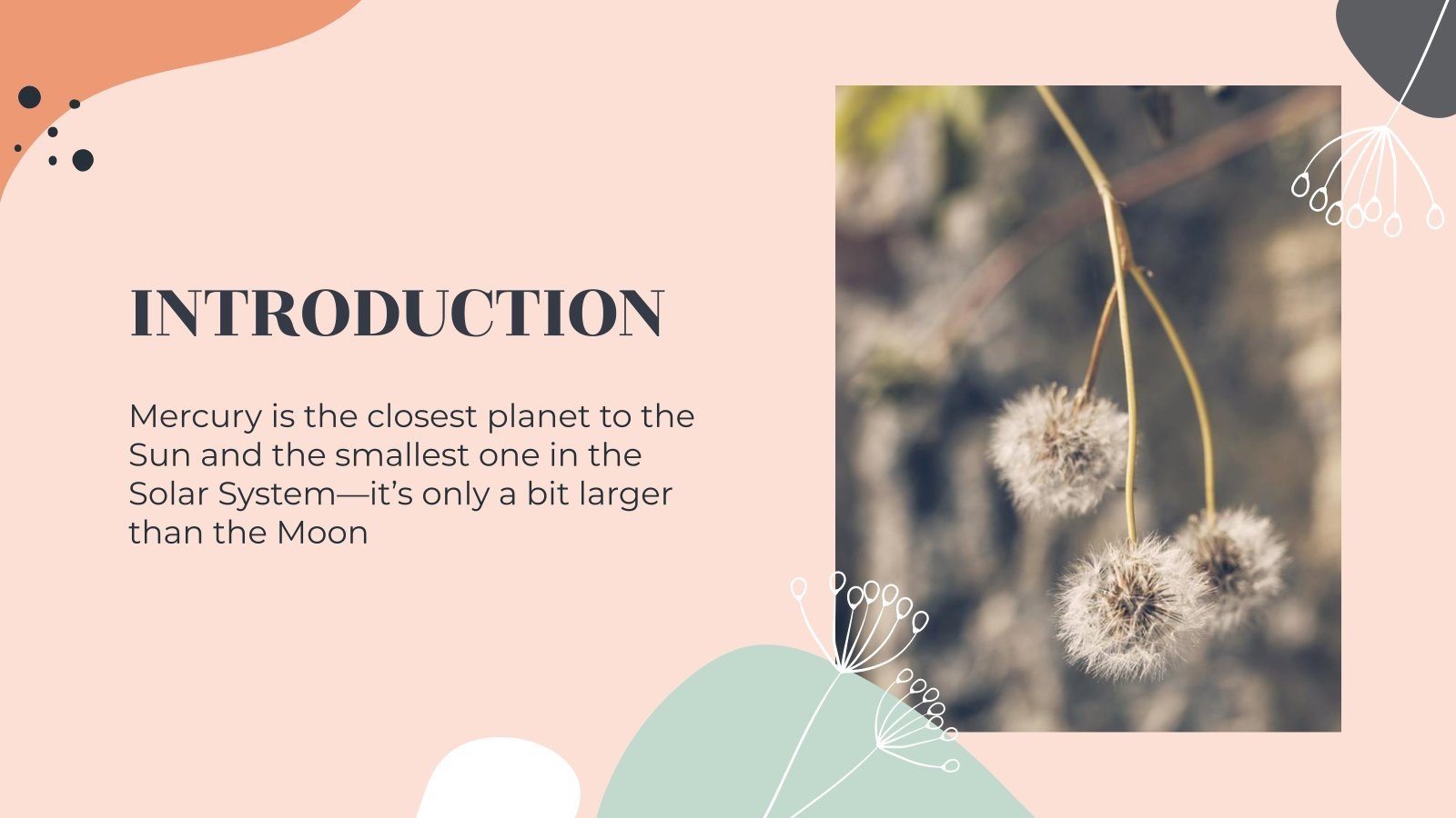 Dandelion Thesis Google Slides theme & PowerPoint template