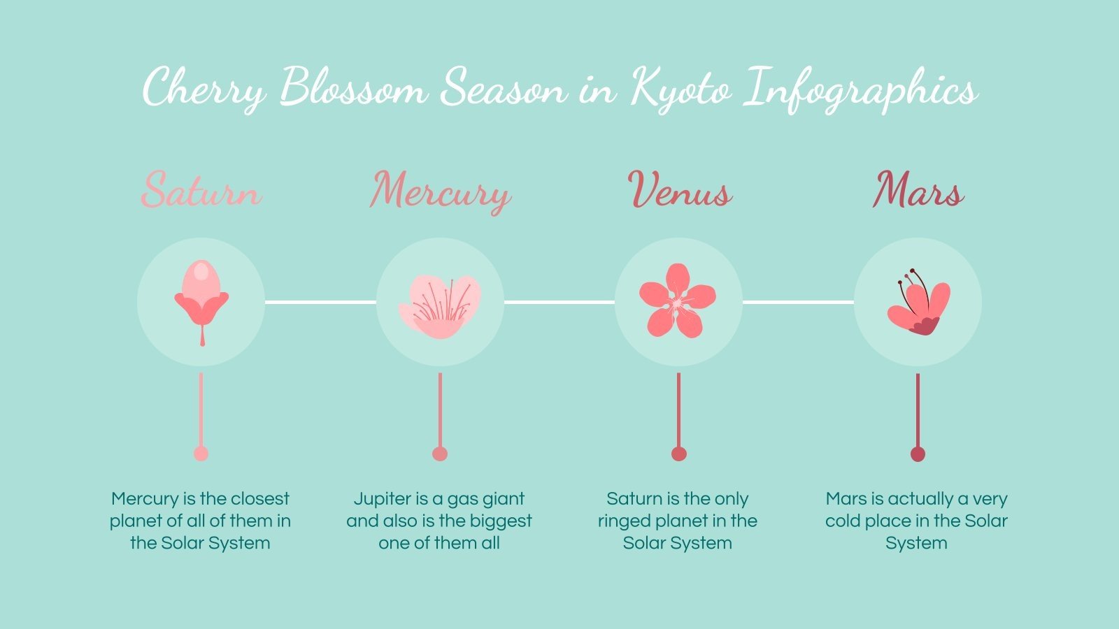 Cherry Blossom Season Infographics | Google Slides & PPT