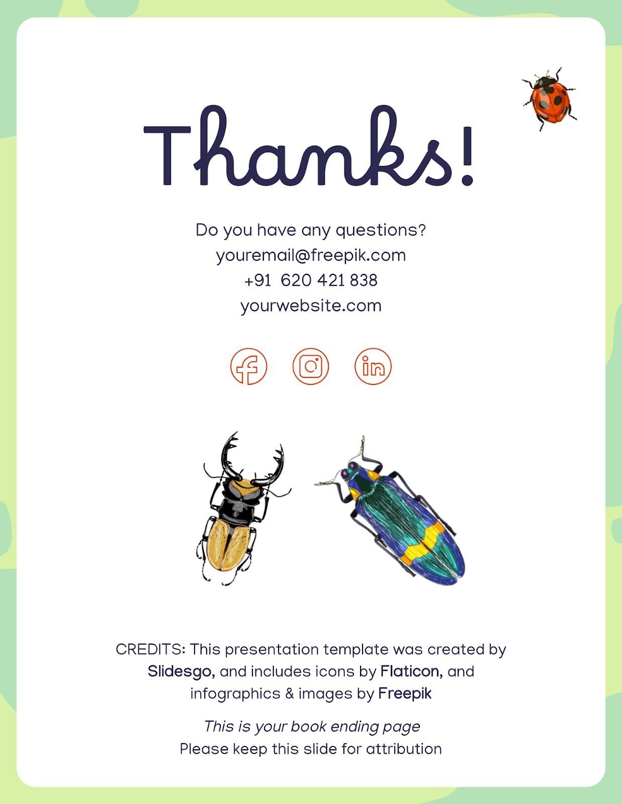 How to Identify Insects Handout Template