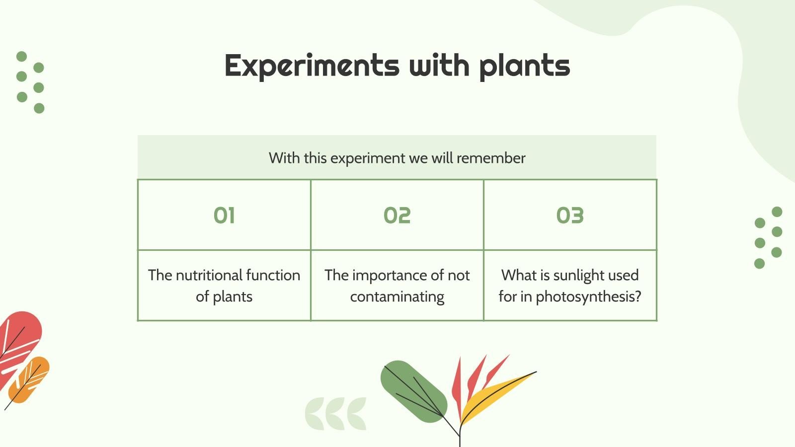 Plant Experiments and Observations Presentation