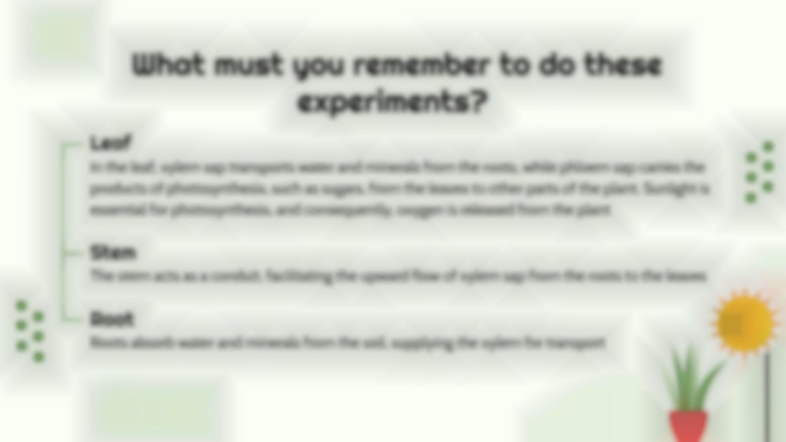 Plant Experiments and Observations Presentation