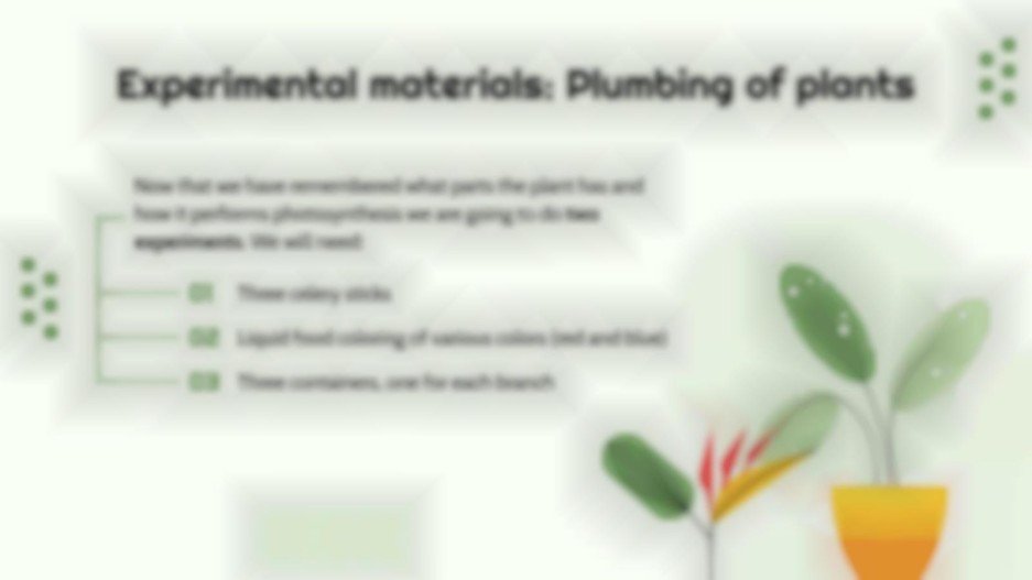 Plant Experiments and Observations Presentation