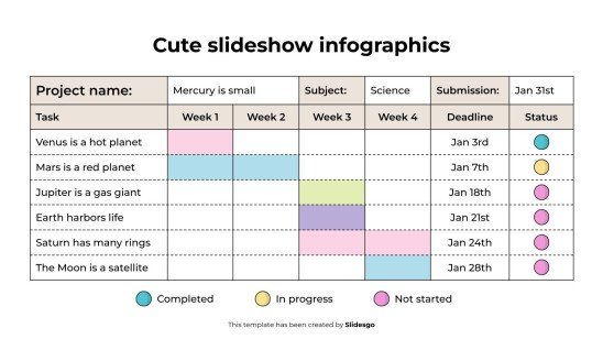Cute Slideshow Infographics Presentation