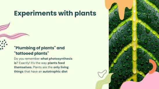 Exploring Plant Responses Presentation