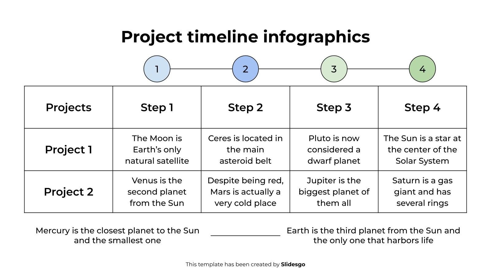 Project Timeline Infographics Template