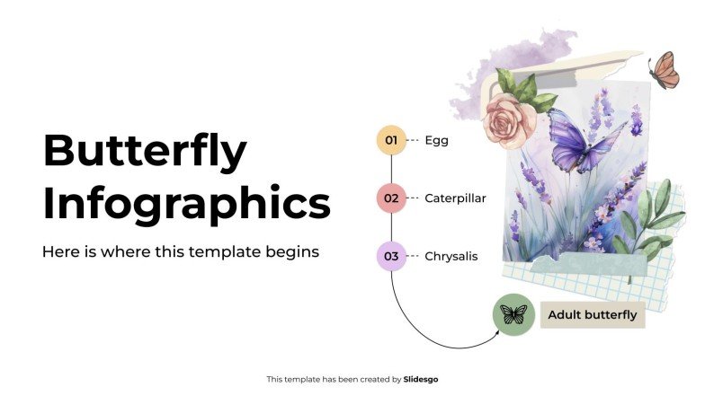 Butterfly Infographics Template