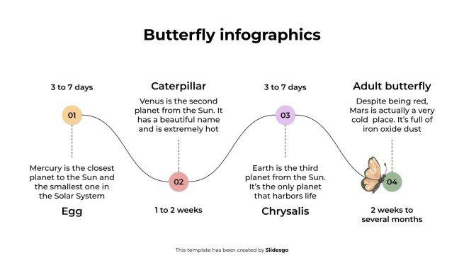 Butterfly Infographics Template
