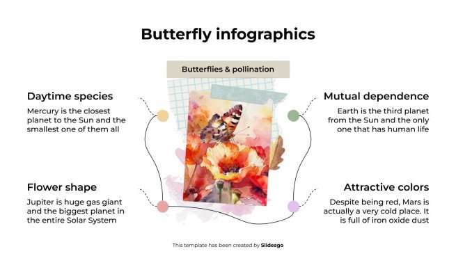 Butterfly Infographics Template