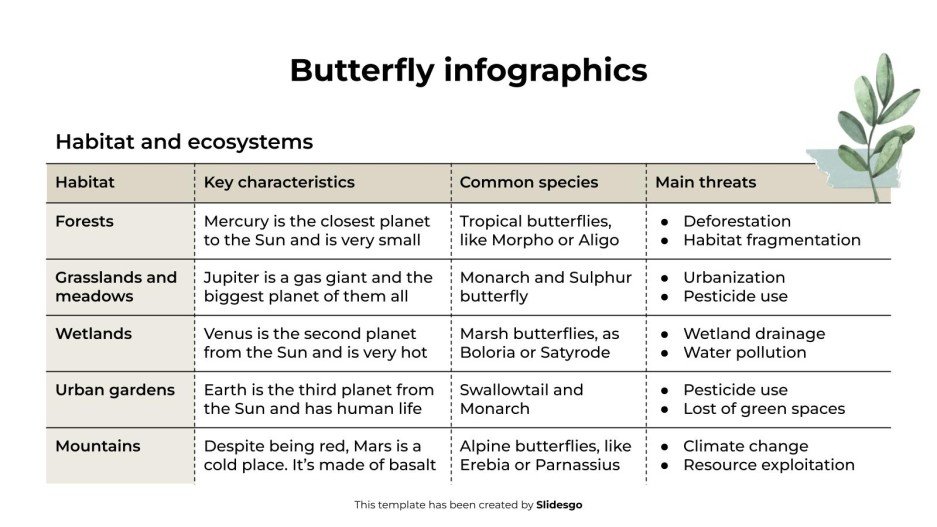 Butterfly Infographics Template