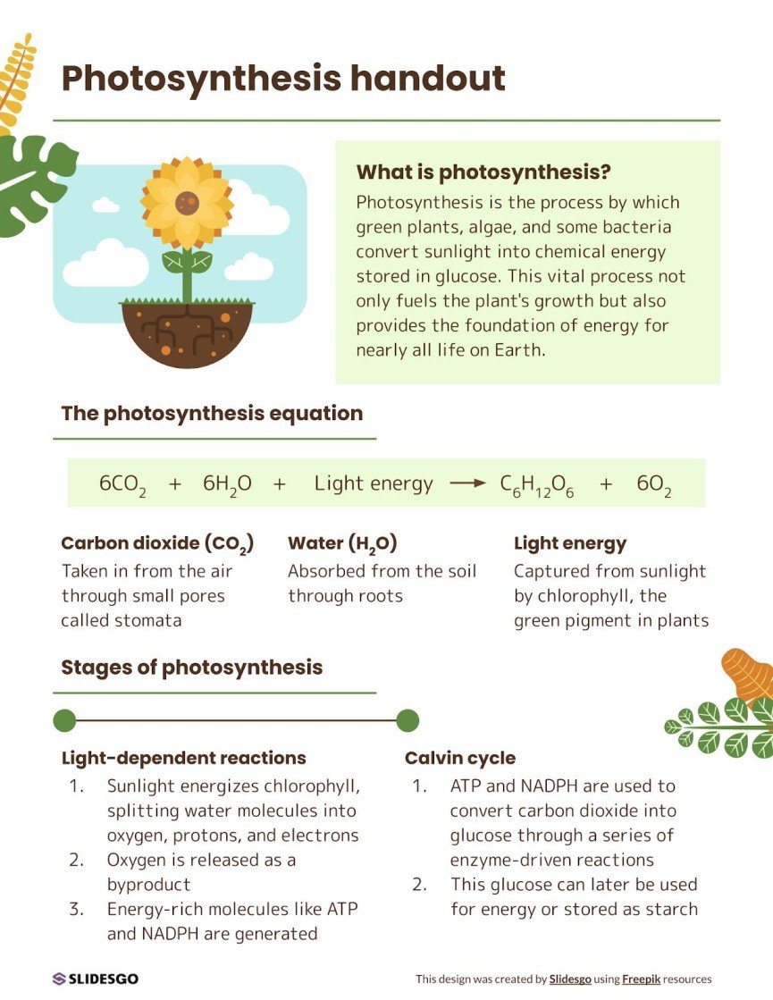 Photosynthesis Handout Template