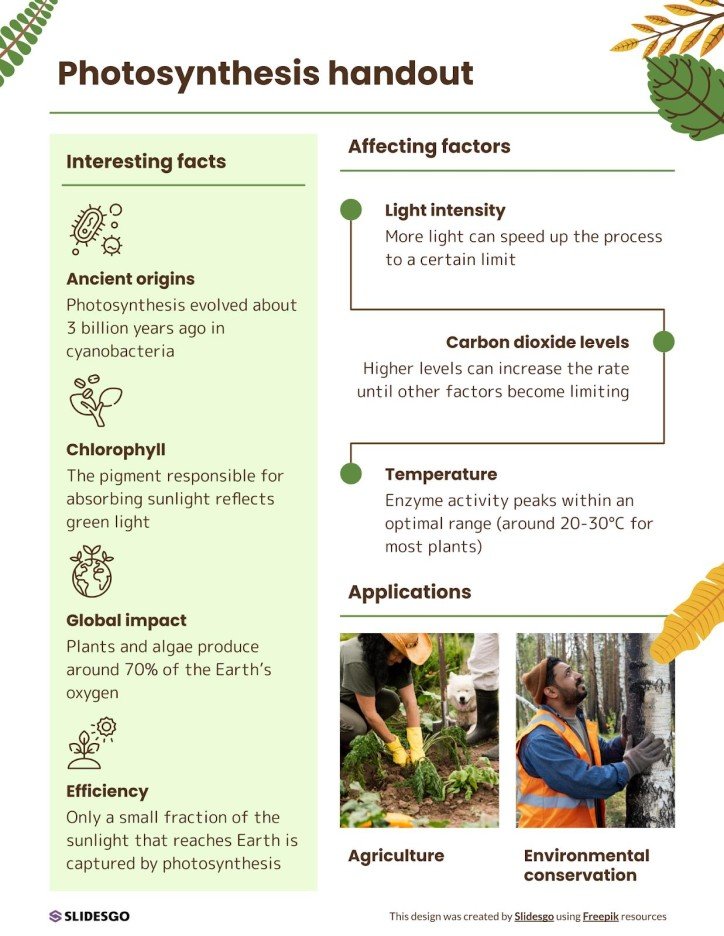 Photosynthesis Handout Template