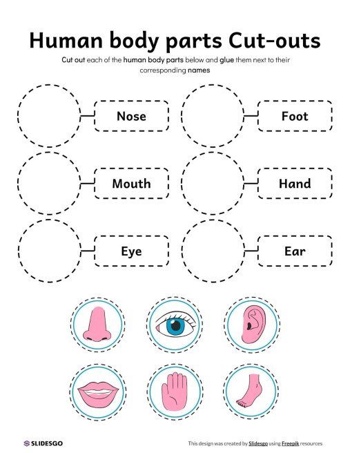 Human Body Parts Cut-outs Template