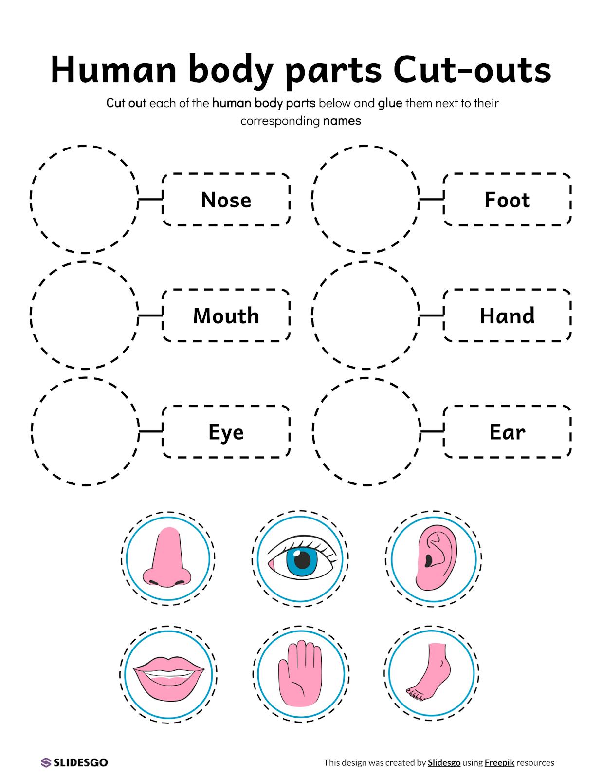 Las Partes Del Cuerpo Template Human Body Parts Vector Art, Icons, And