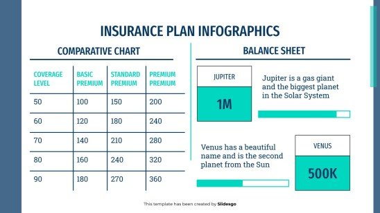 Insurance Plan Infographics Template