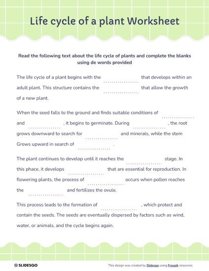 Life Cycle of a Plant Worksheet Presentation