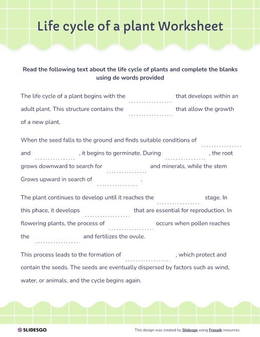 Life Cycle of a Plant Worksheet Presentation