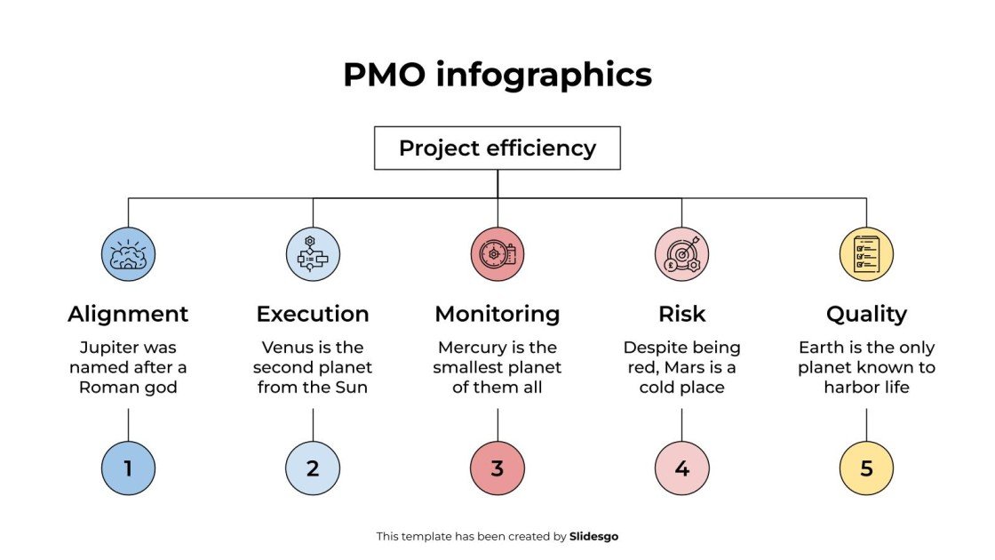 PMO Infographics Template