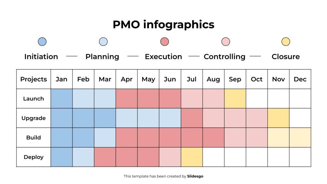 PMO Infographics Template