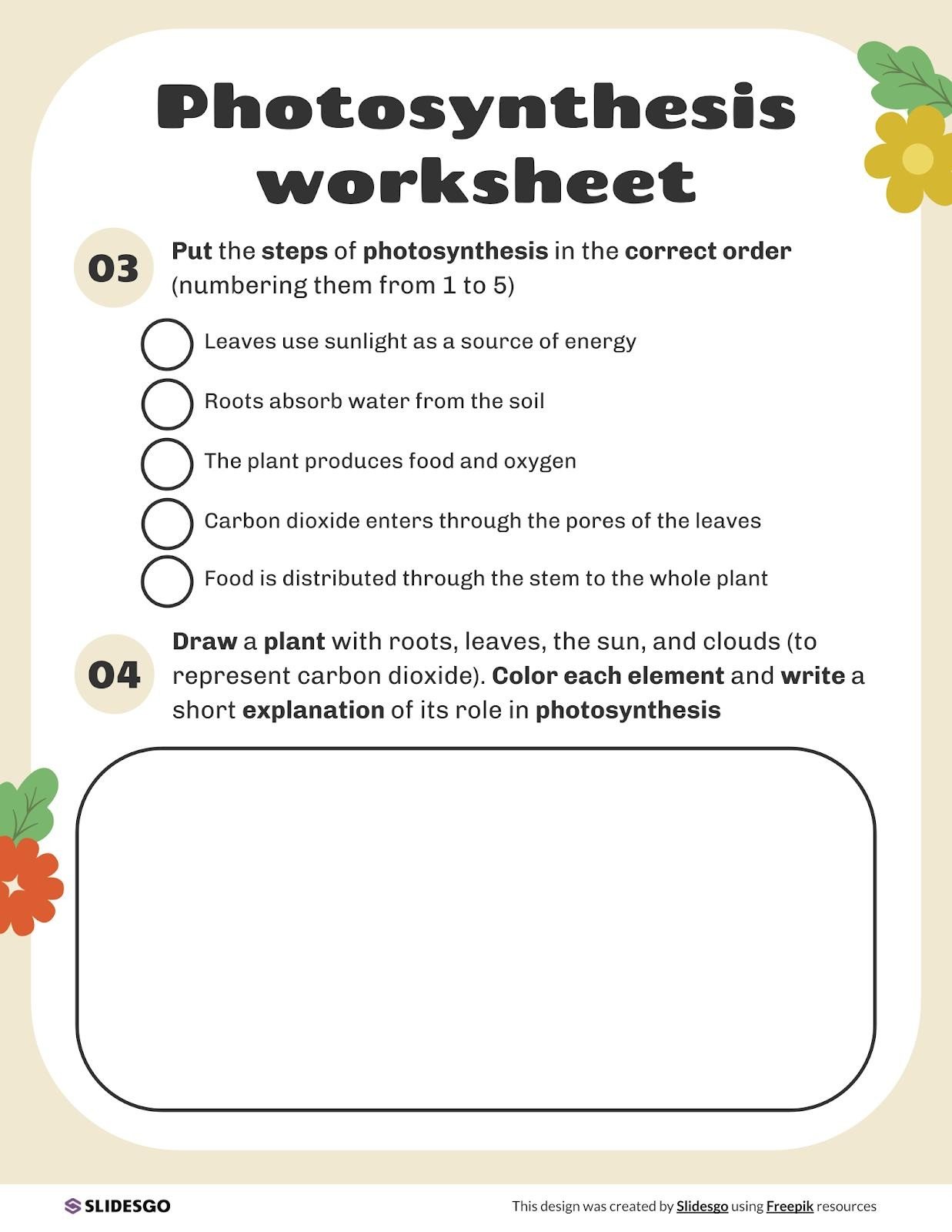Photosynthesis Worksheet Template