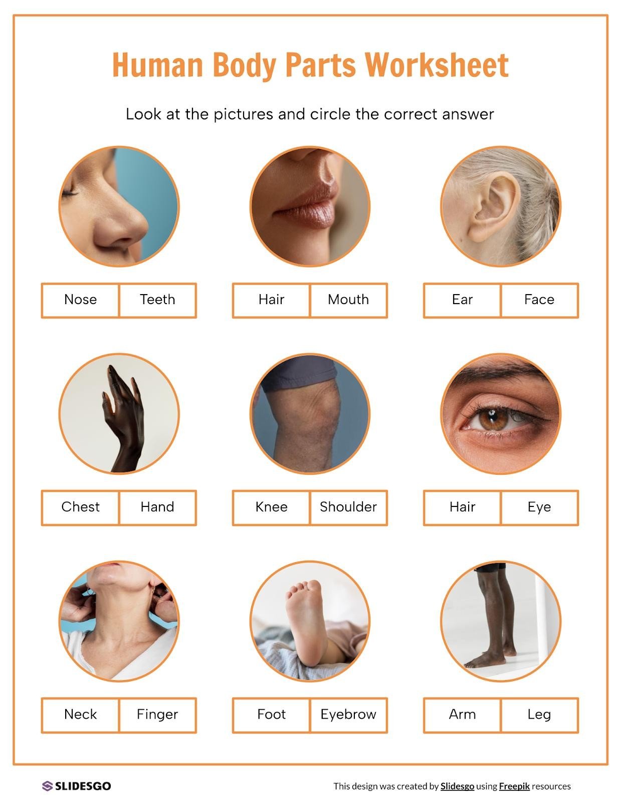 Human Body Parts Worksheet Presentation