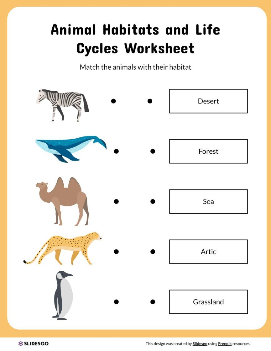 Animal Habitats and Life Cycles Worksheet Presentation