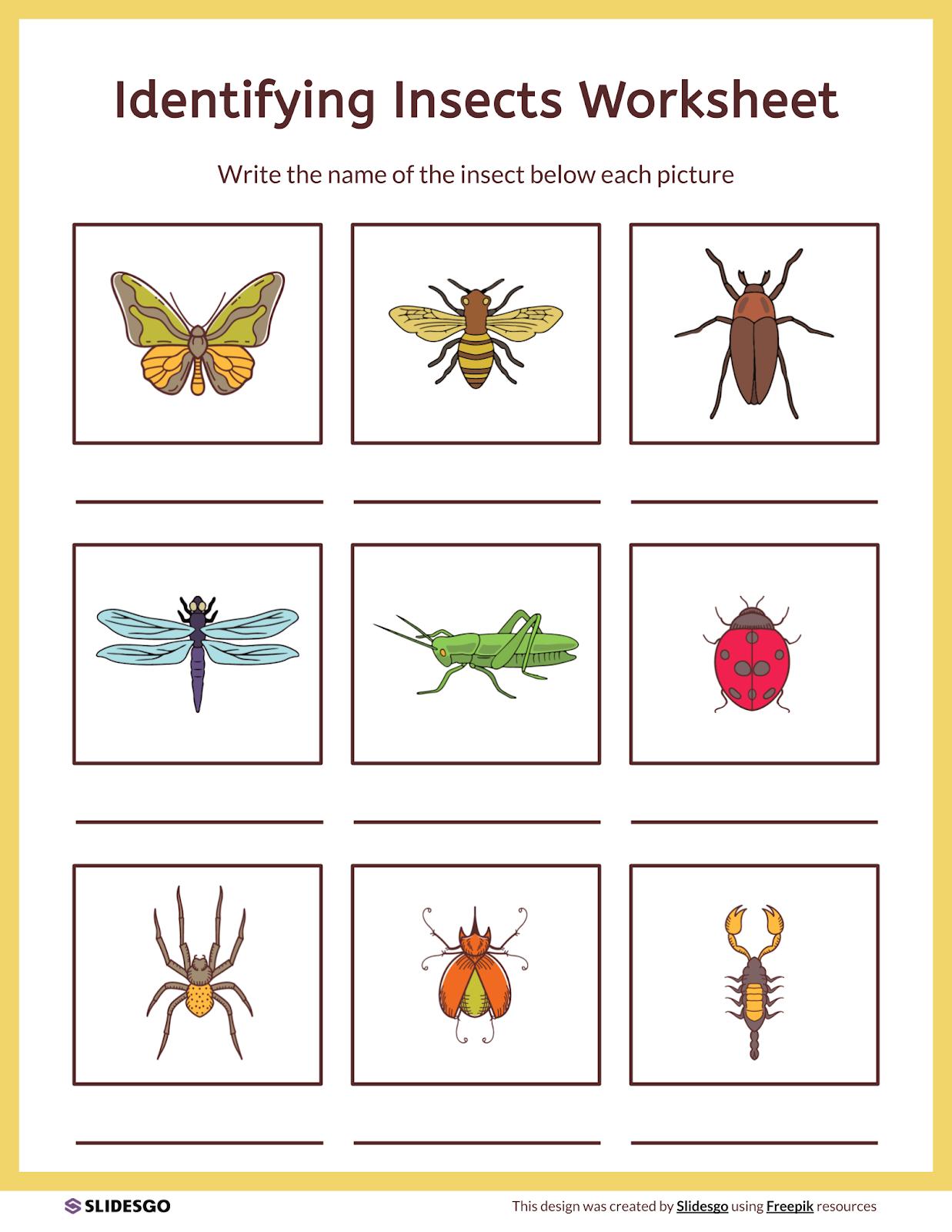 Insect Worksheets 96 Insects English ESL Worksheets Pdf & Doc
