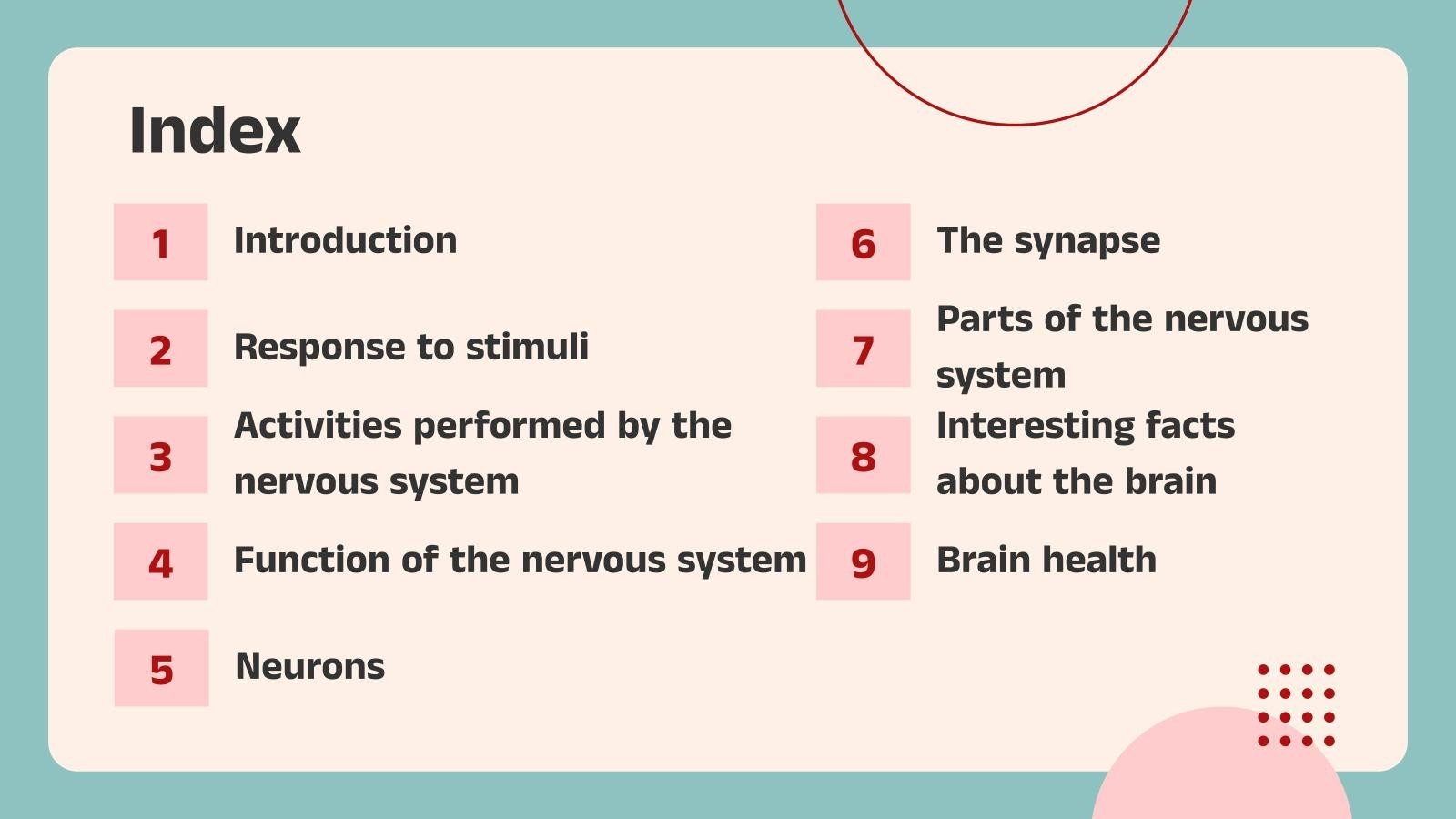 Nervous System Presentation