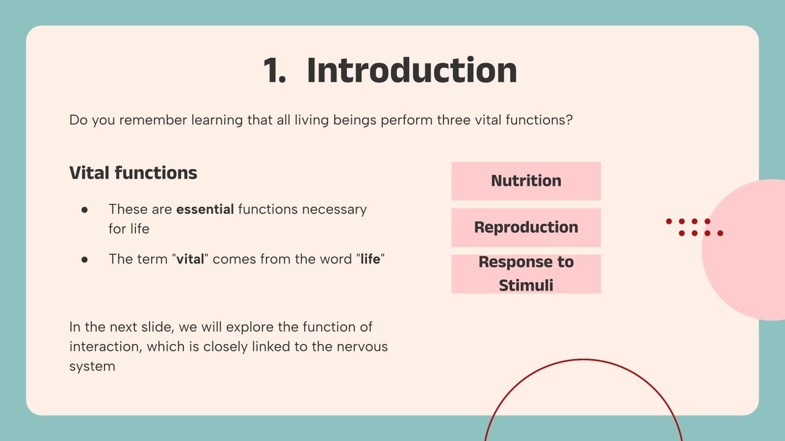 Nervous System Presentation