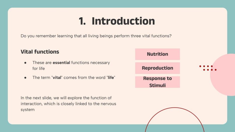 Nervous System Presentation