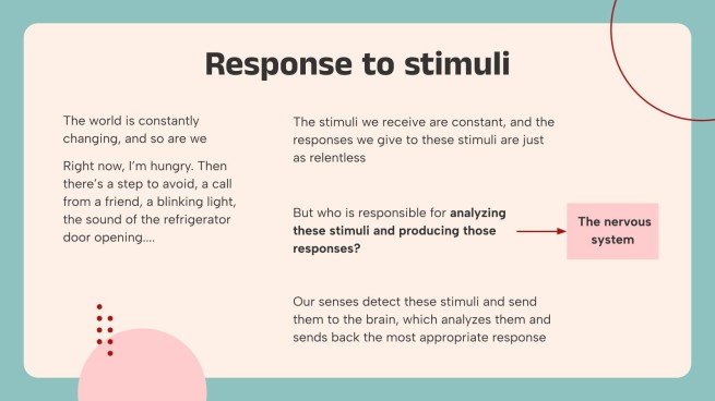 Nervous System Presentation