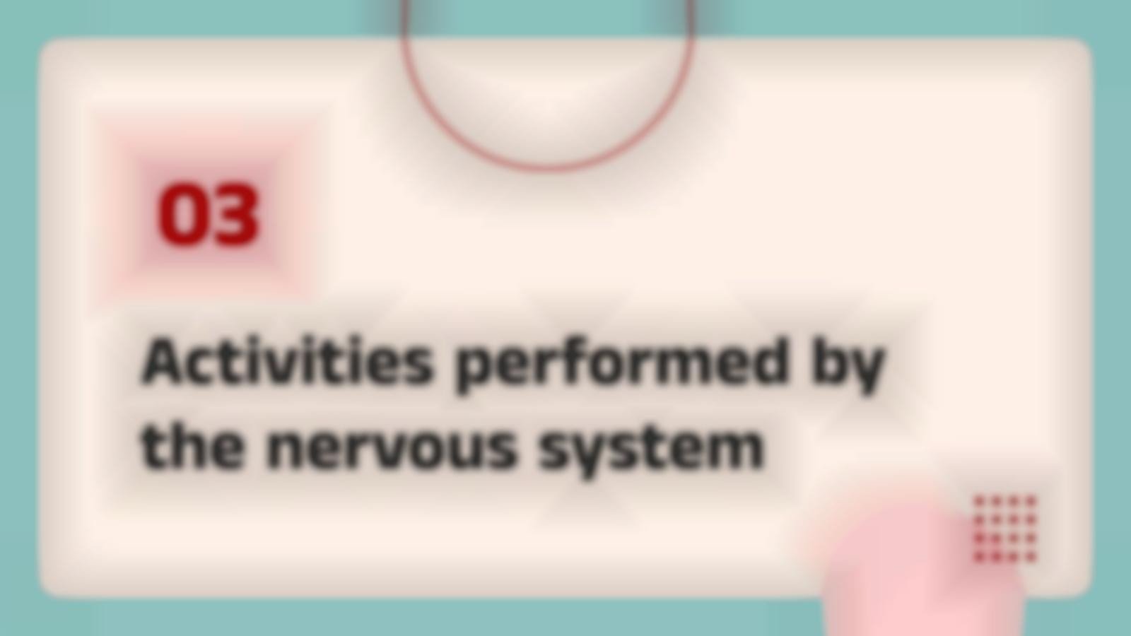 Nervous System Presentation