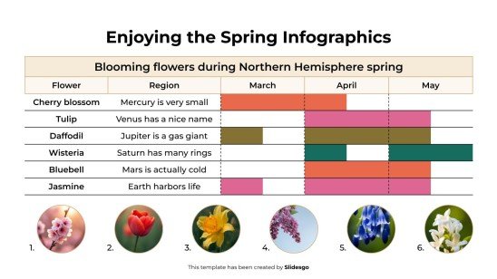 Enjoying the Spring Infographics Template