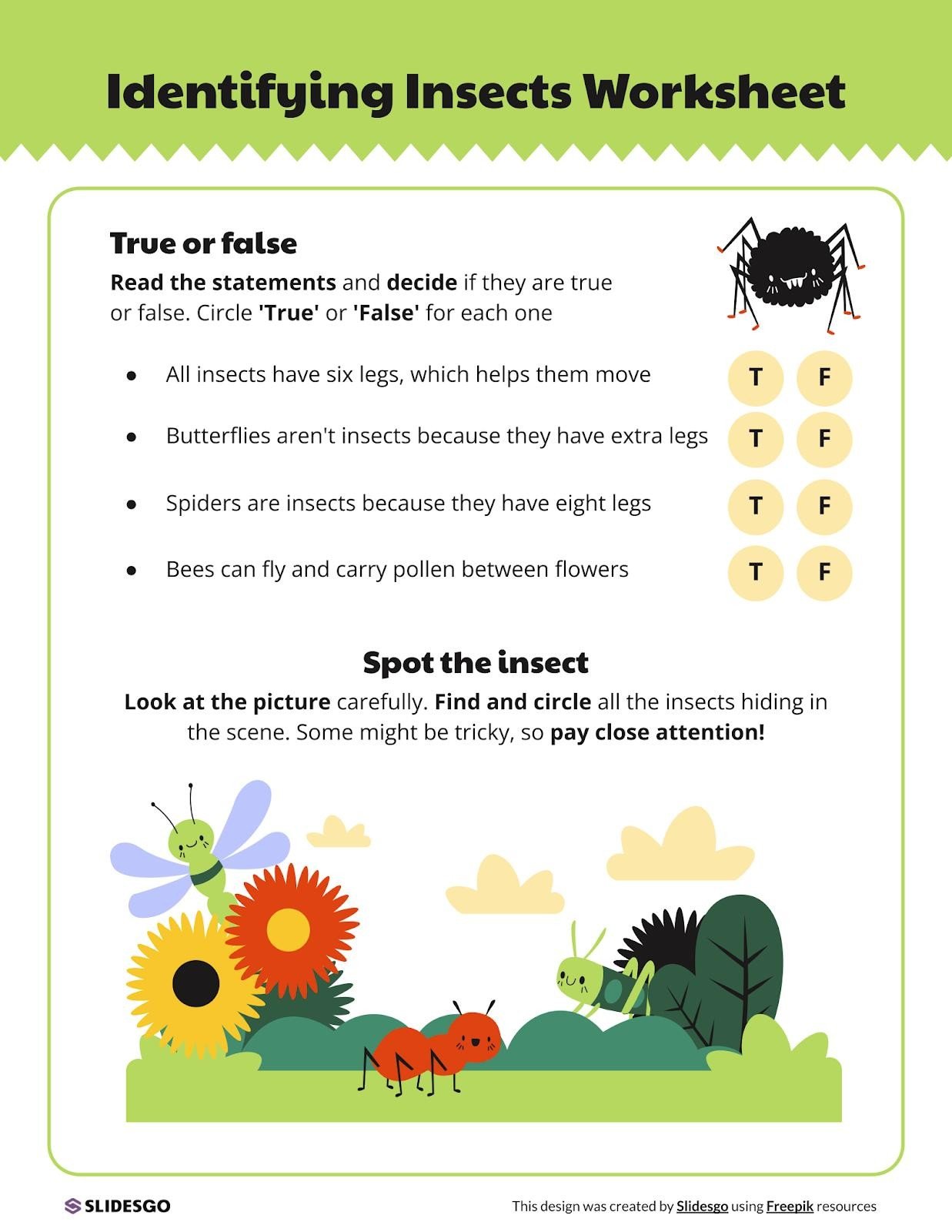 Identifying Insects Worksheet Template