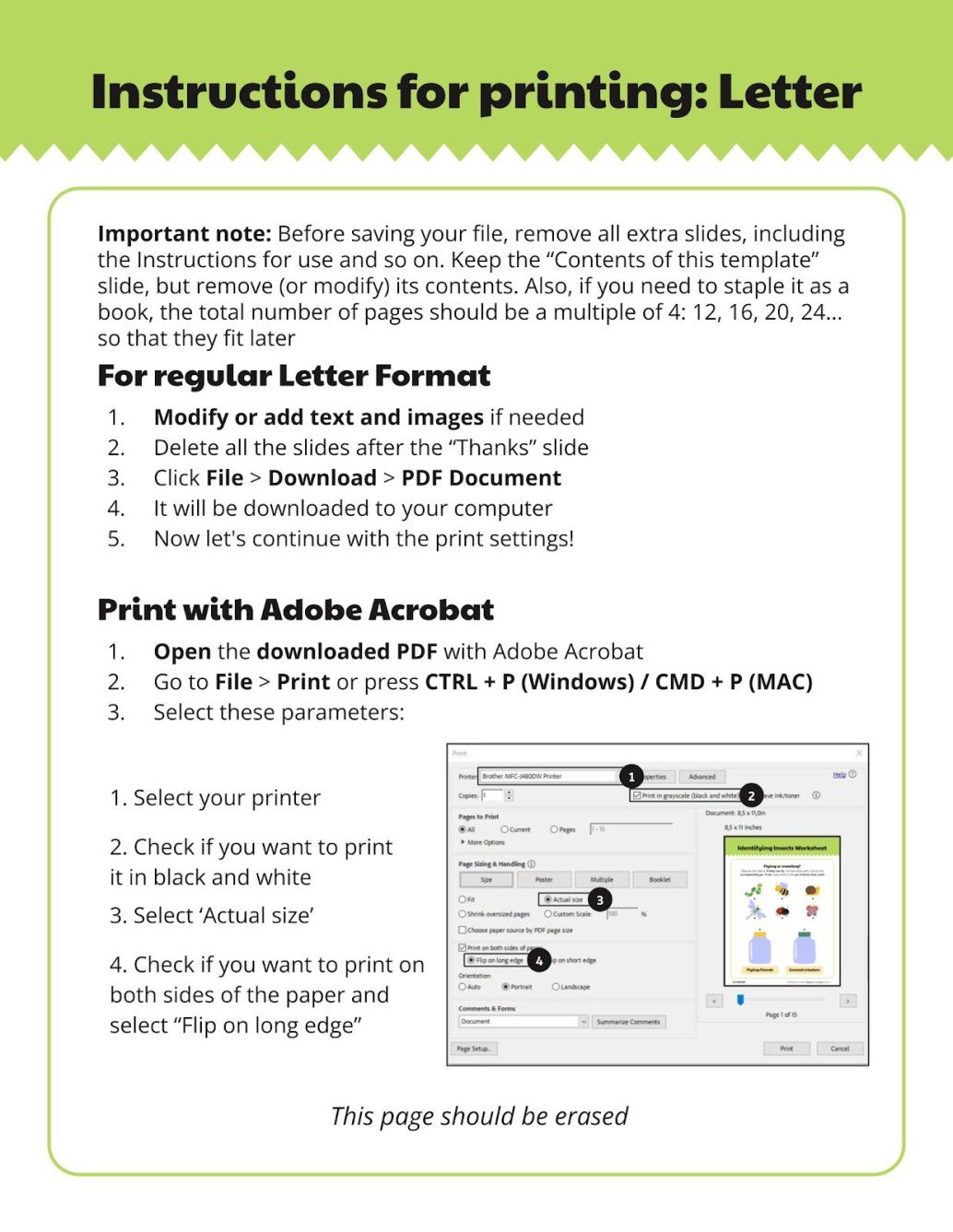 Identifying Insects Worksheet Template