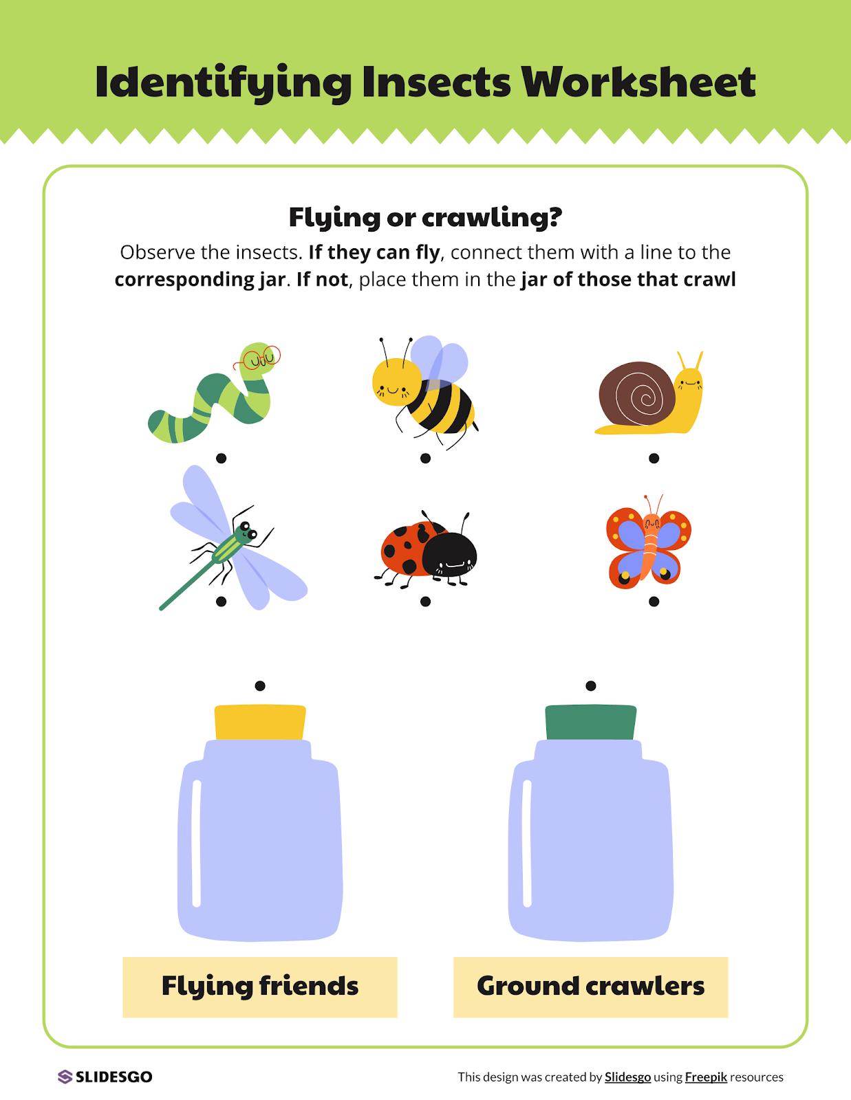 Identifying Insects Worksheet Template