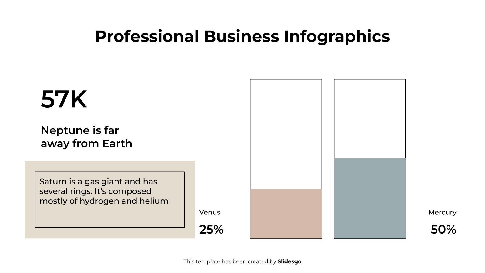 Professional Business Infographics Template