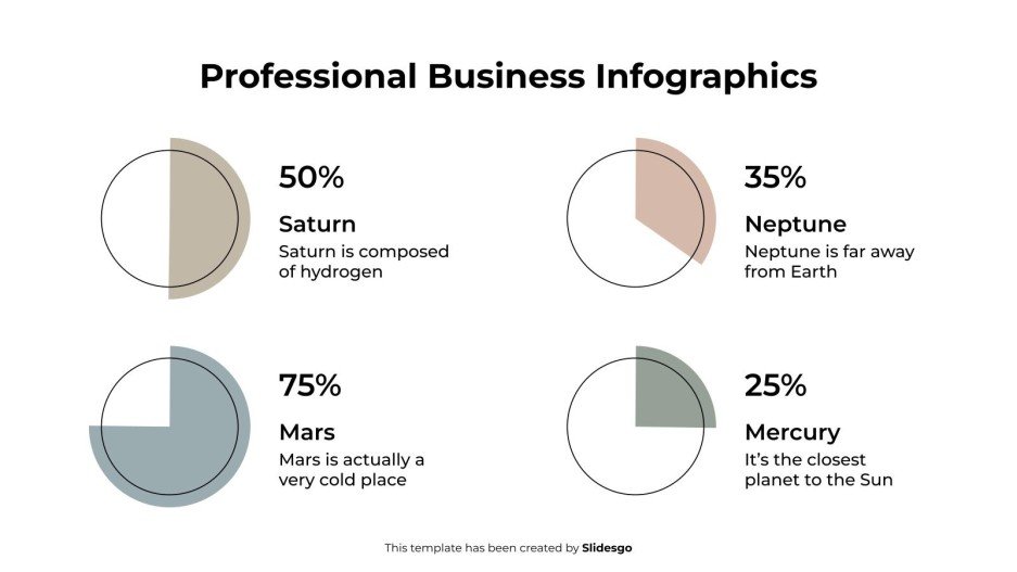 Professional Business Infographics Template