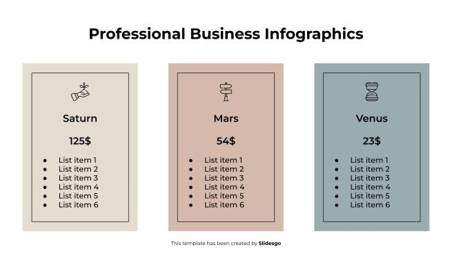 Professional Business Infographics Template