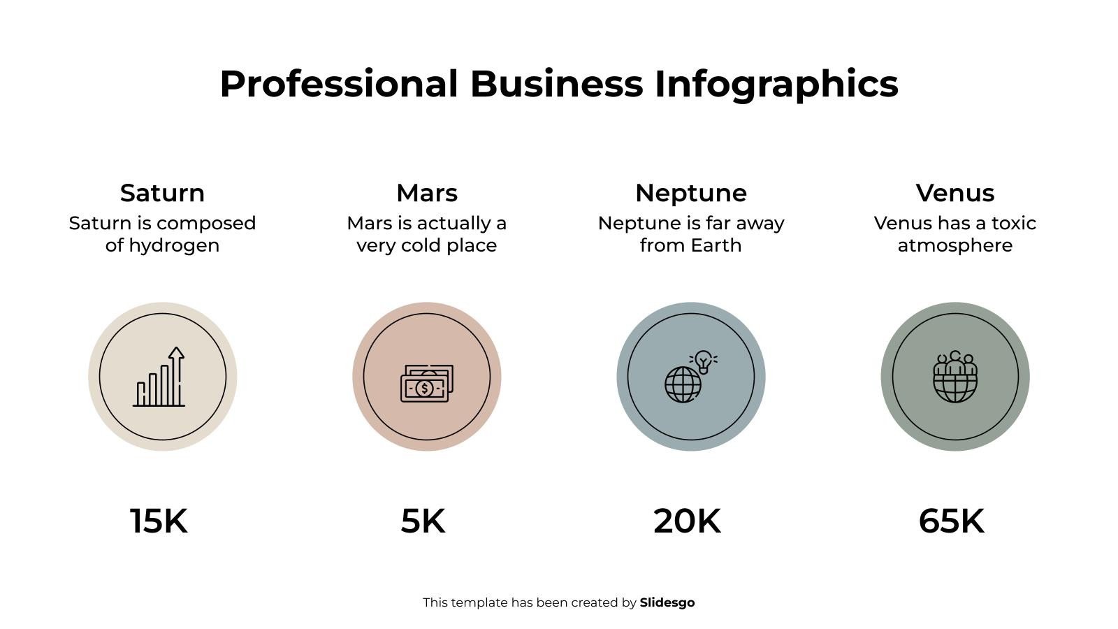 Professional Business Infographics Template