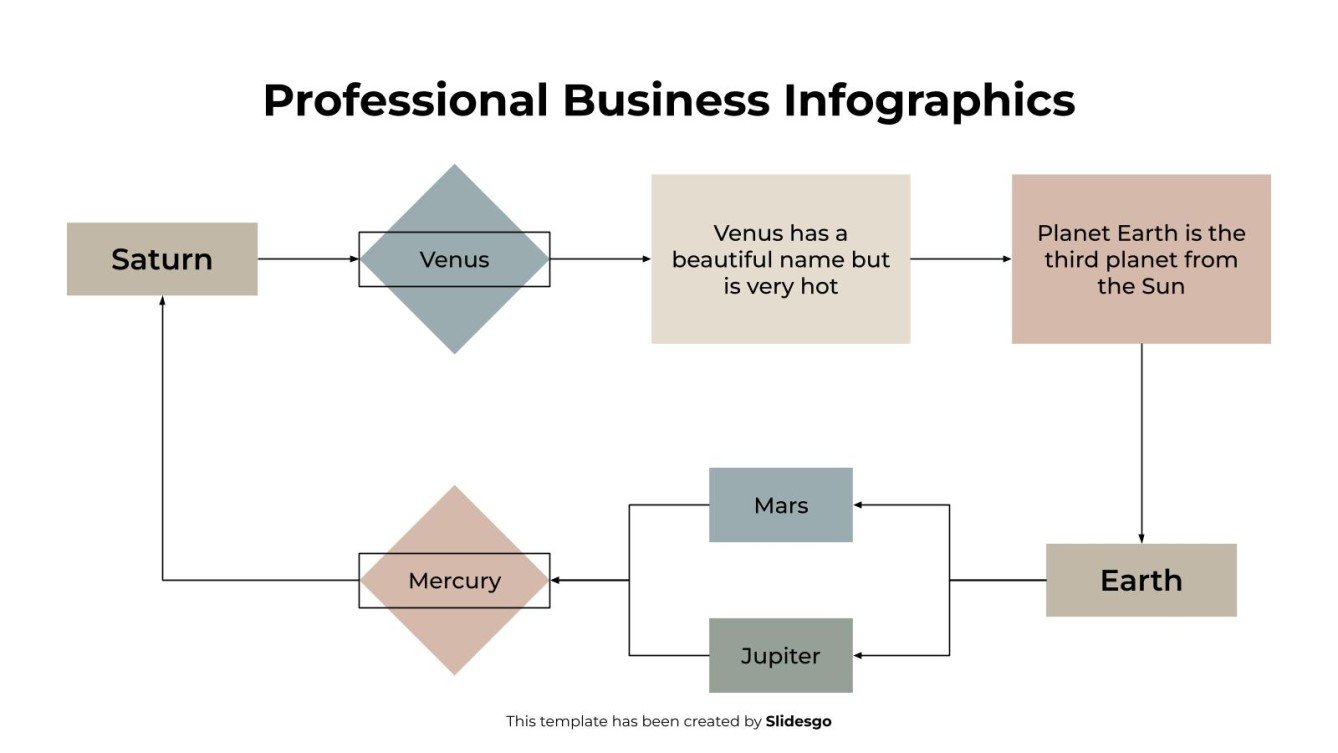 Professional Business Infographics Template