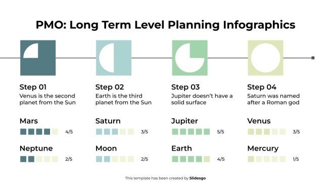 PMO: Long Term Level Planning Infographics Template