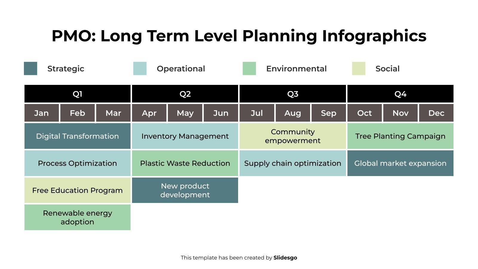 PMO: Long Term Level Planning Infographics Template