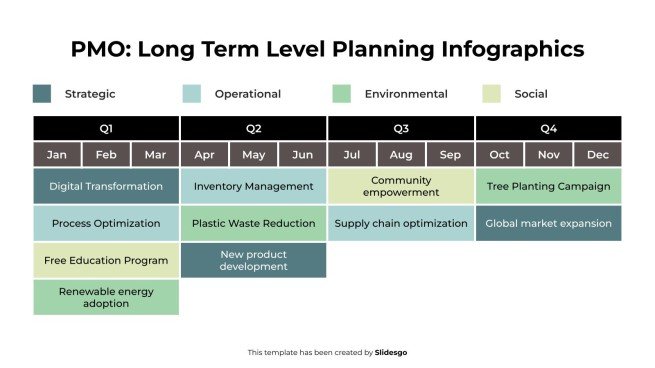 PMO: Long Term Level Planning Infographics Template
