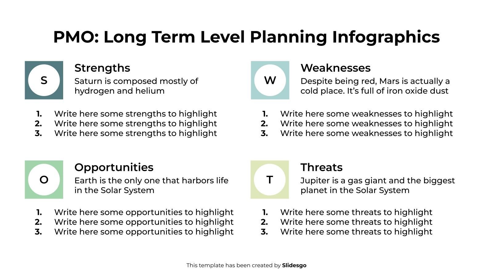 PMO: Long Term Level Planning Infographics Template